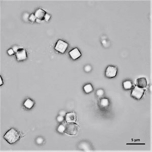 An engineered three-dimensional stem cell niche in the inner ear by ...