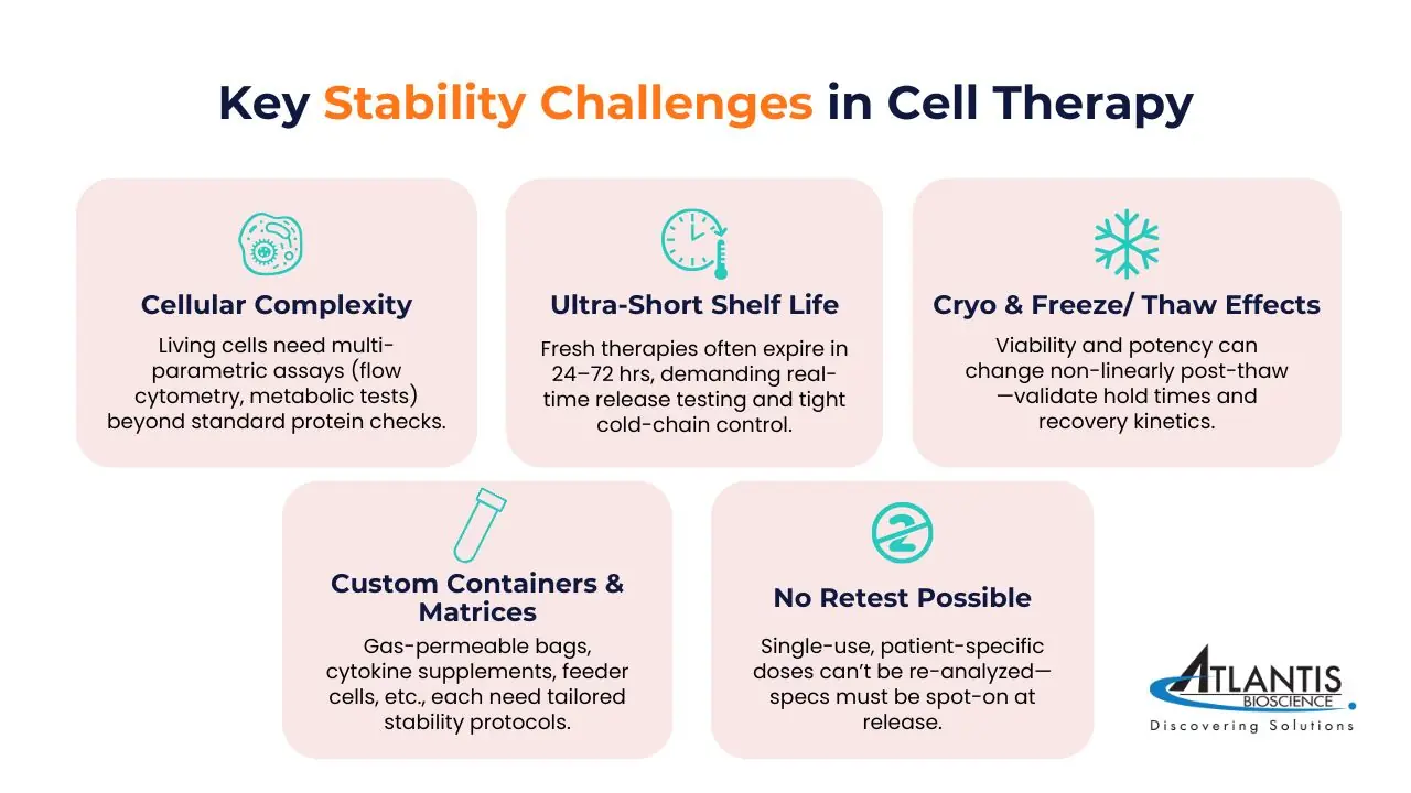 Global Guide to Stability Testing for Cell Therapy Products ...
